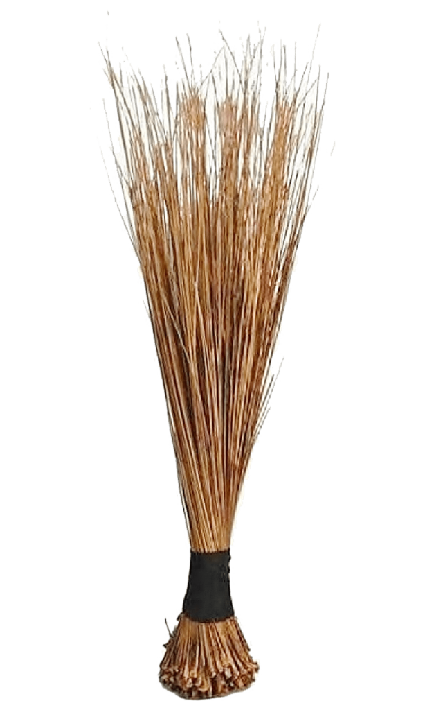 African Broom Large - Jumbo Midlands Ltd