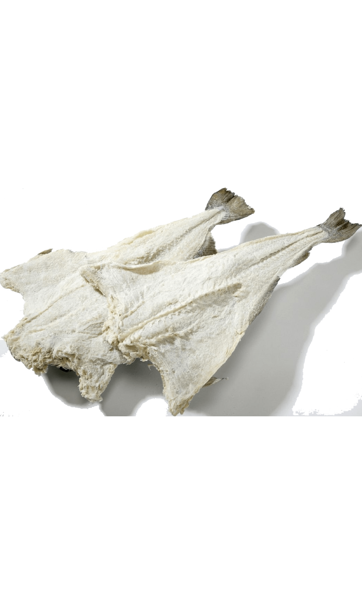 Frozen Red Bream 300/500 - Jumbo Midlands Ltd