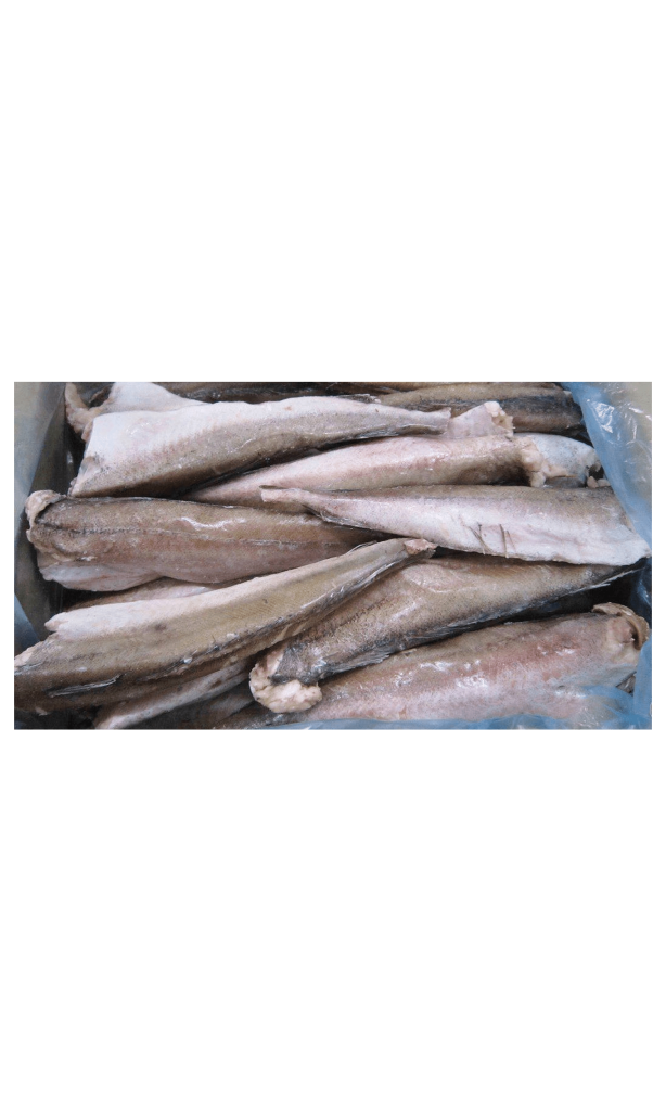S Hake 1000/1500 Head/Tail Less - Jumbo Midlands Ltd